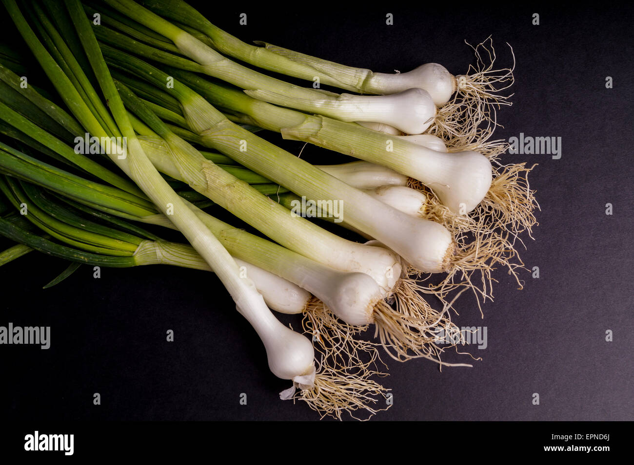 Fresh Organic spring onion Isolated on Black Stock Photo - Alamy