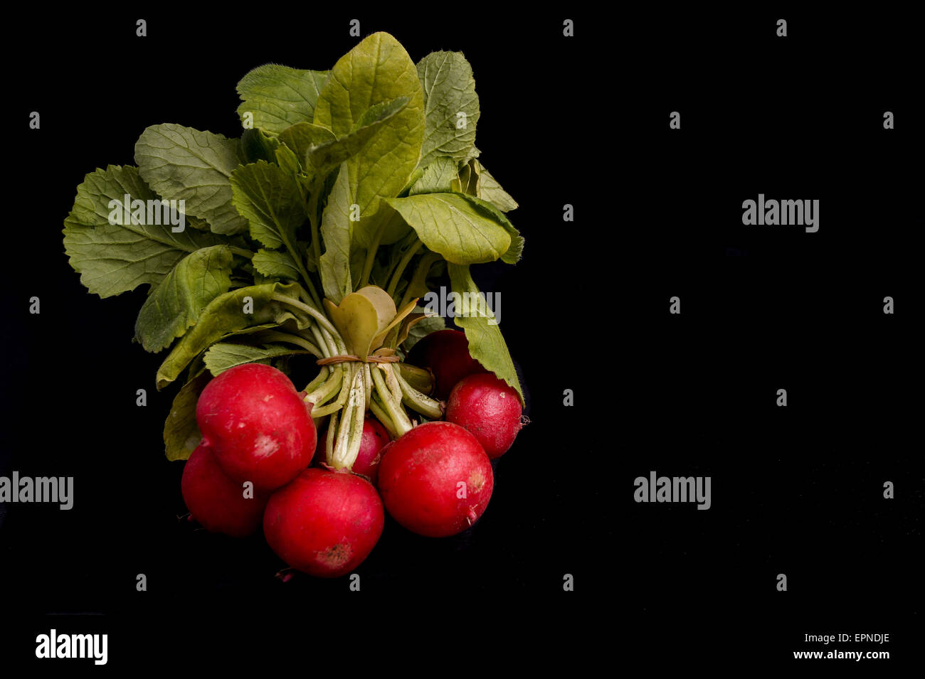 Bunch of Raddish isolated on black background Stock Photo - Alamy
