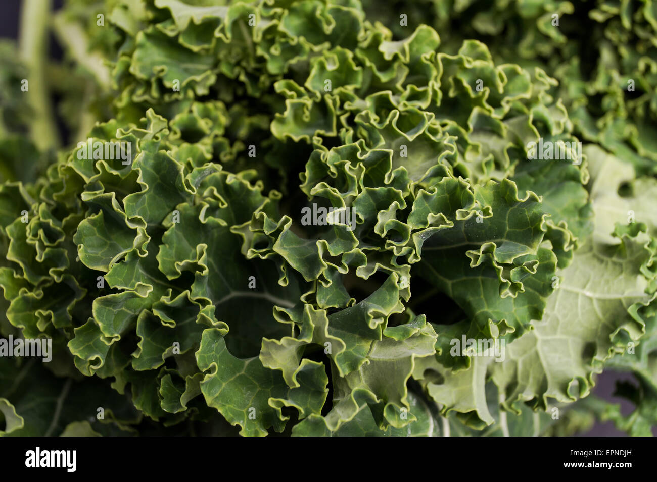 Super Healthy Organic Kale, close up, background Stock Photo - Alamy