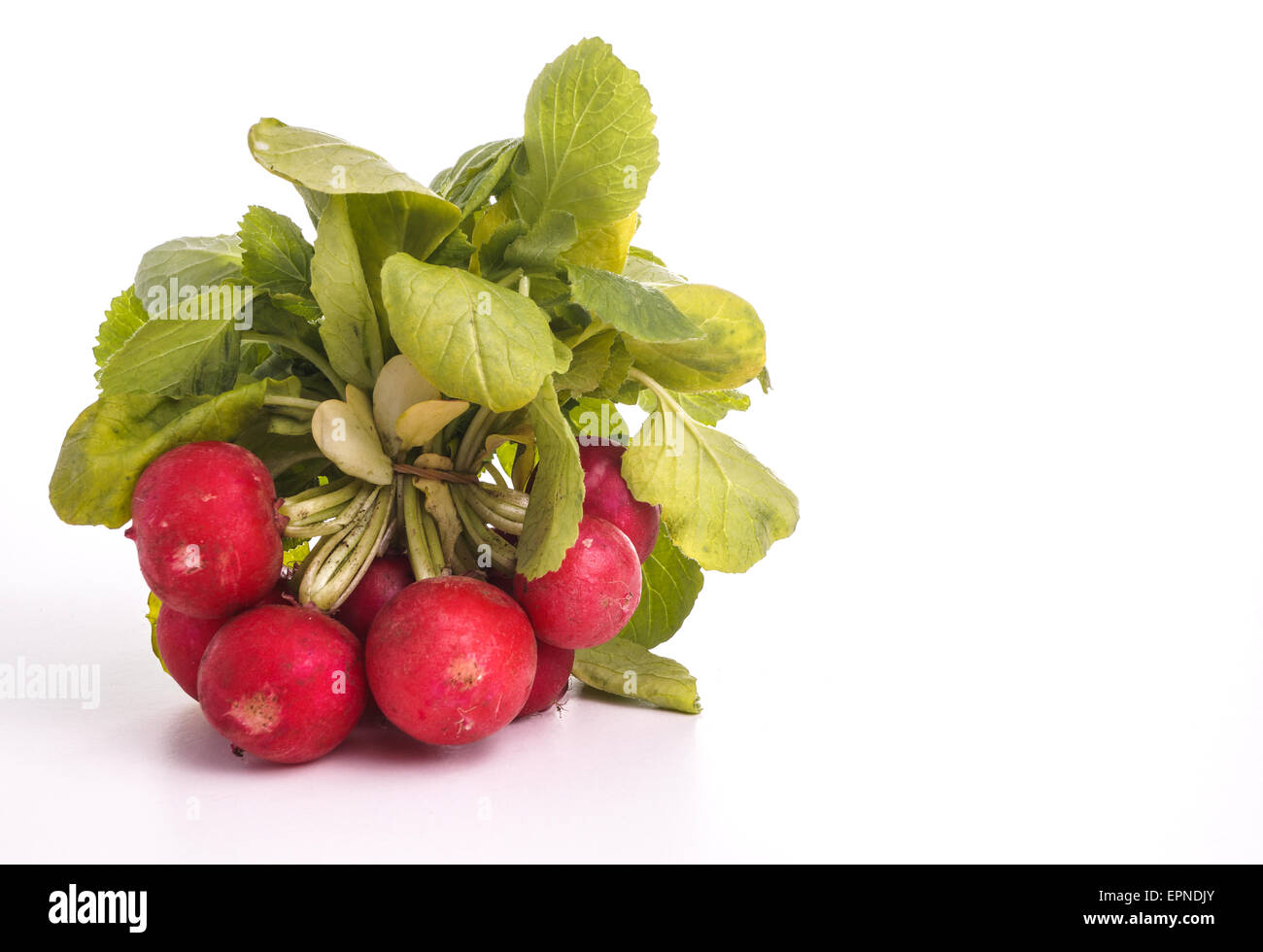Bunch of Radish isolated on white background Stock Photo - Alamy
