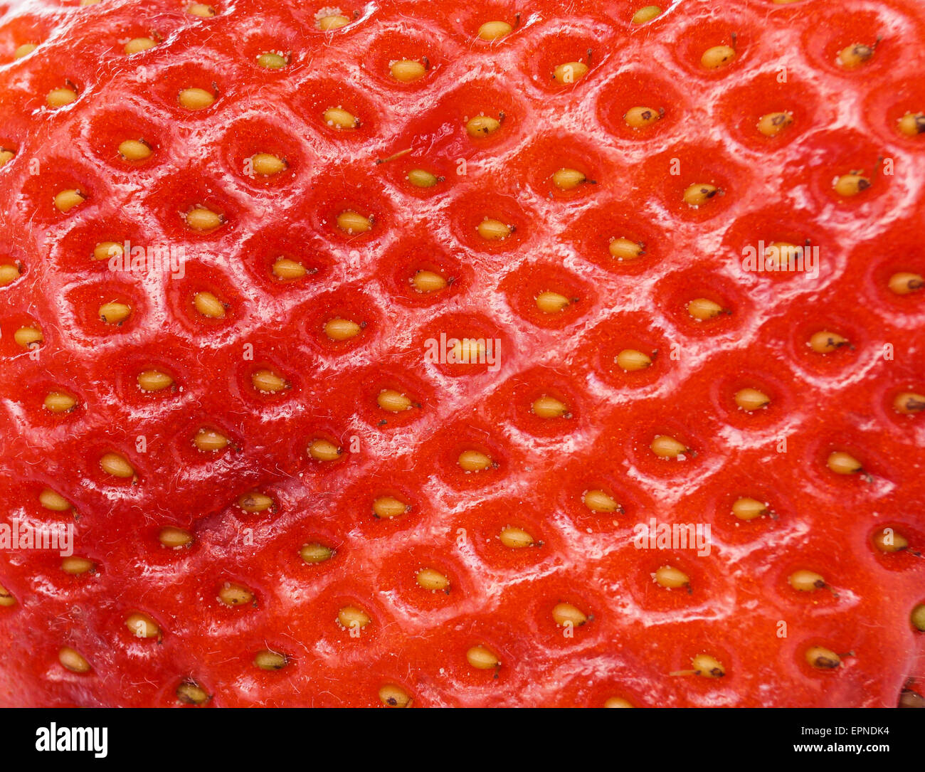 Super red healthy Organic Strawberry close up Stock Photo - Alamy