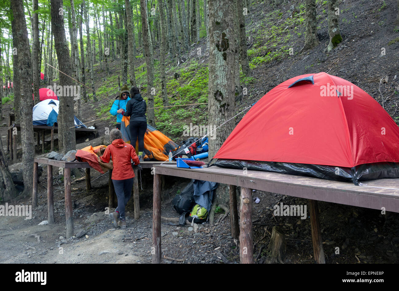 Backpackers pitching a tent over a wood platform. Chileno campsite. W ...