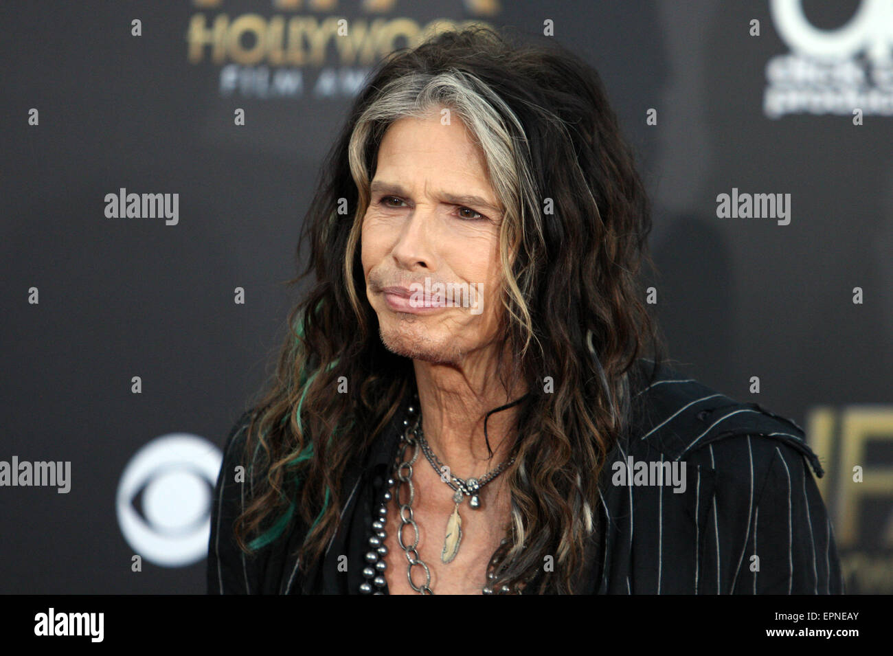 18th Annual Hollywood Film Awards at the Hollywood Palladium - Arrivals ...