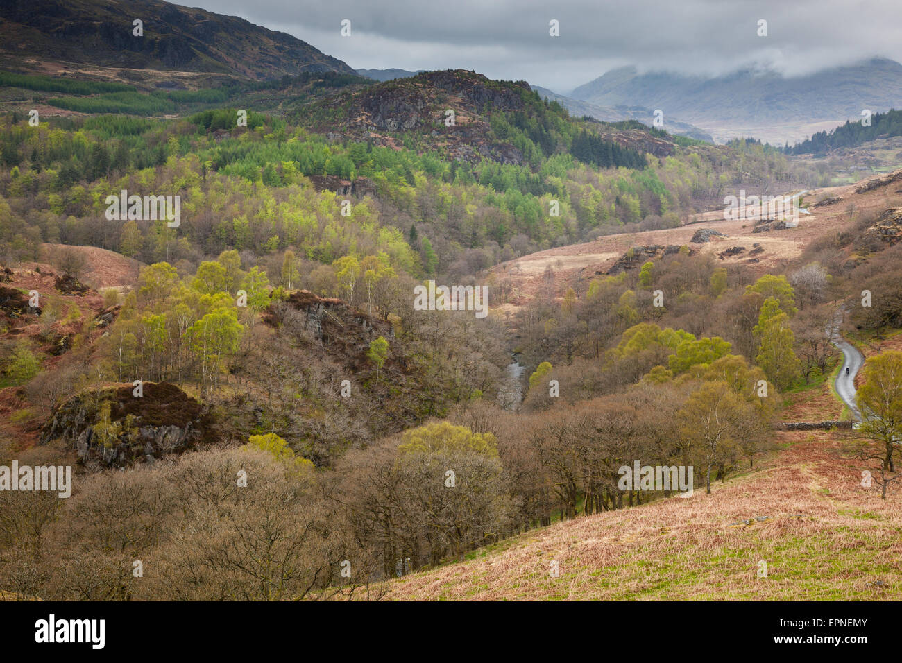 Ulpha Fell and Great Knott summits hidden by cloud, as seen from Hollin ...