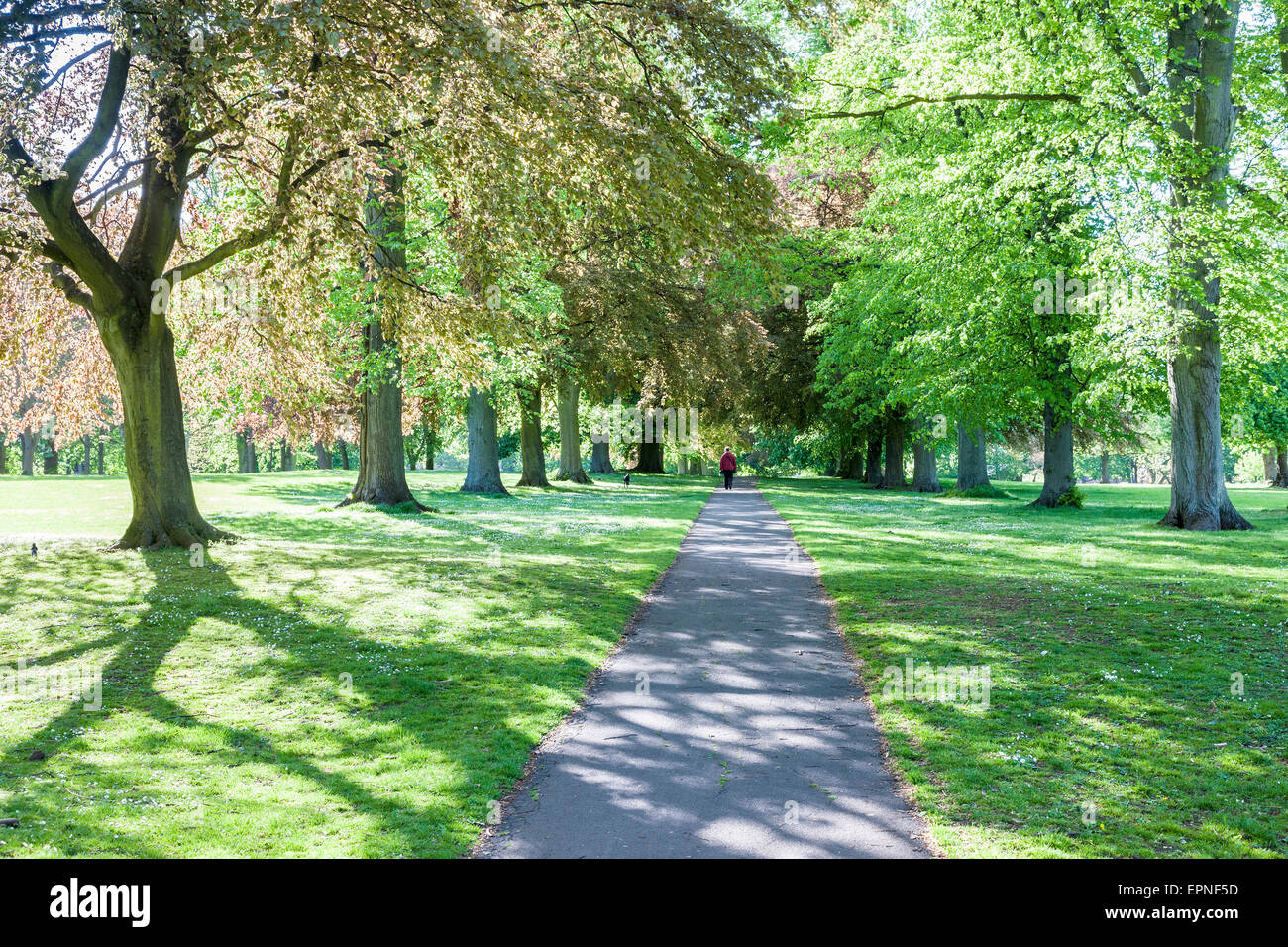 Abington Park in the spring, Northampton Stock Photo - Alamy