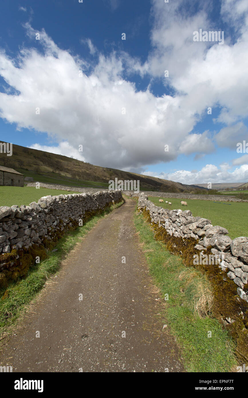 Dales Way, Yorkshire, England. Picturesque spring view of the Dales Way ...