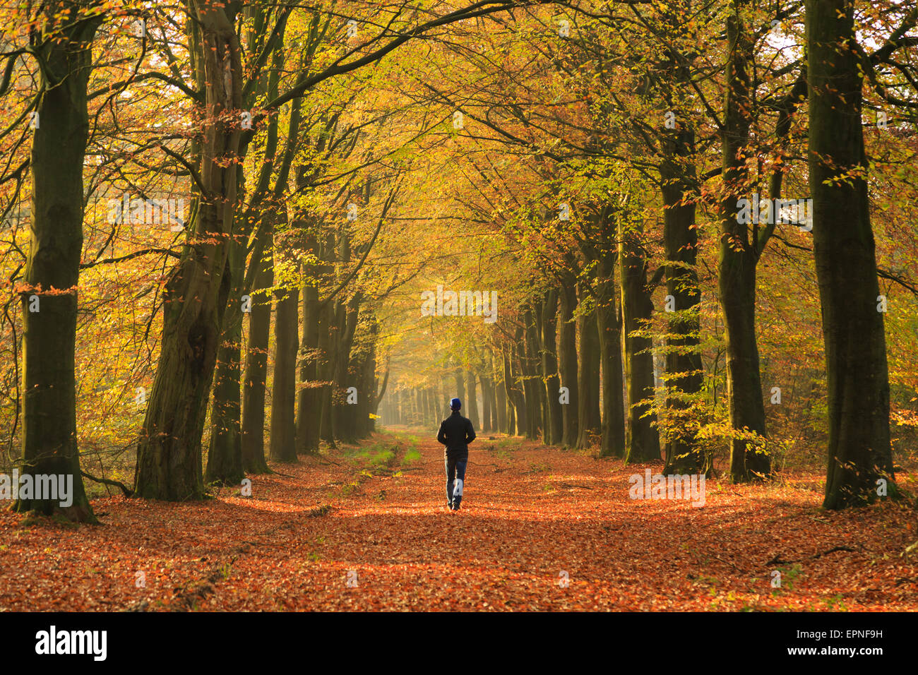 Man walking country lane hi-res stock photography and images - Alamy