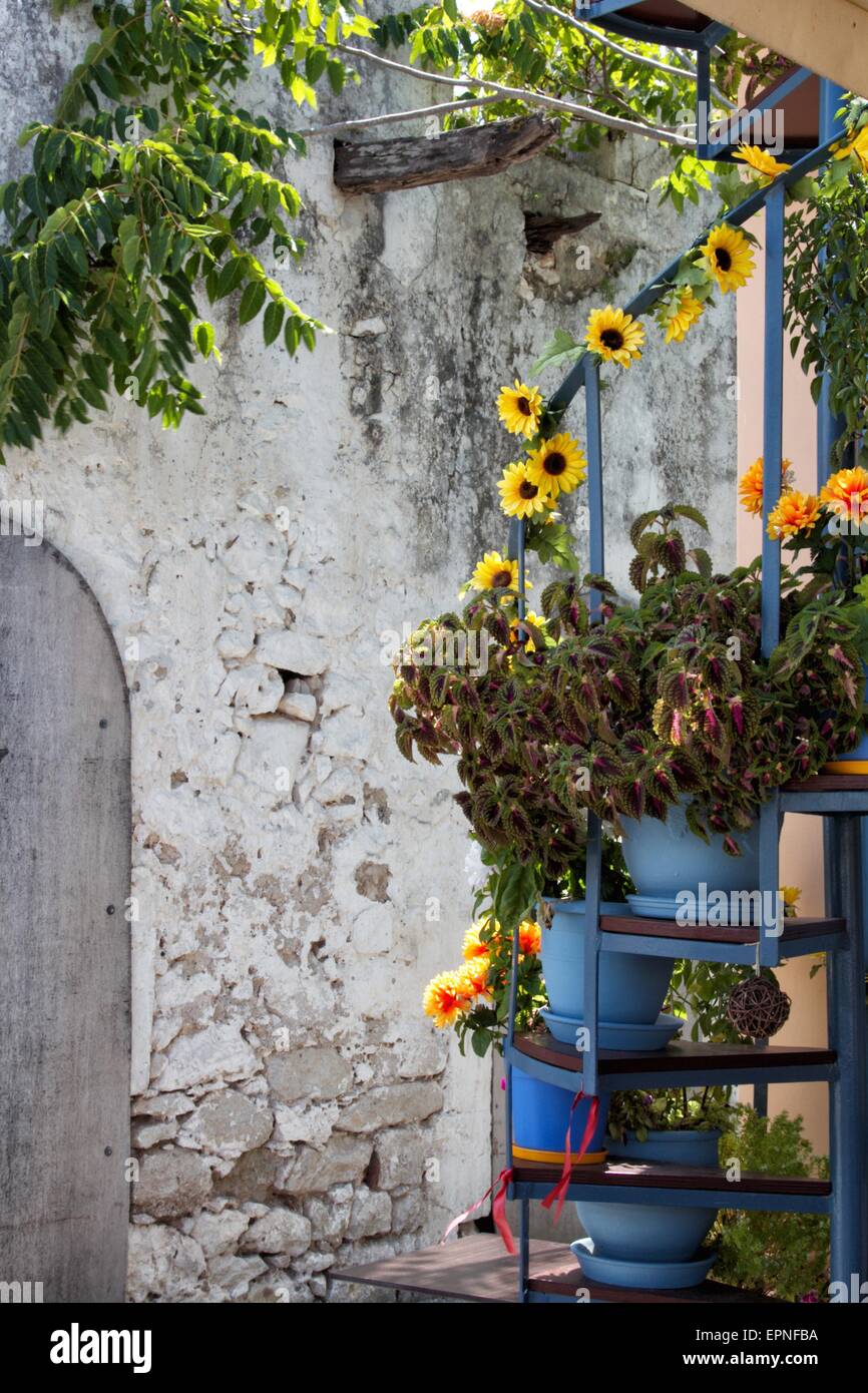 a view of a flower house Stock Photo - Alamy