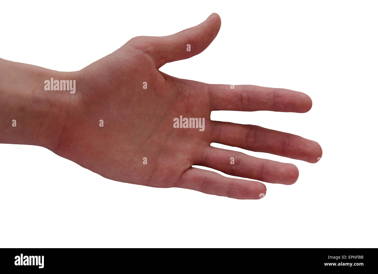 Human hand on the white isolated background Stock Photo - Alamy
