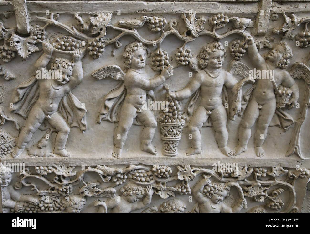 Harvesting of grapes rome hi-res stock photography and images - Alamy