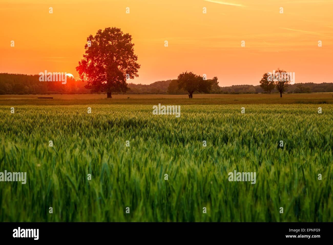 What to do in hungary hi-res stock photography and images - Alamy