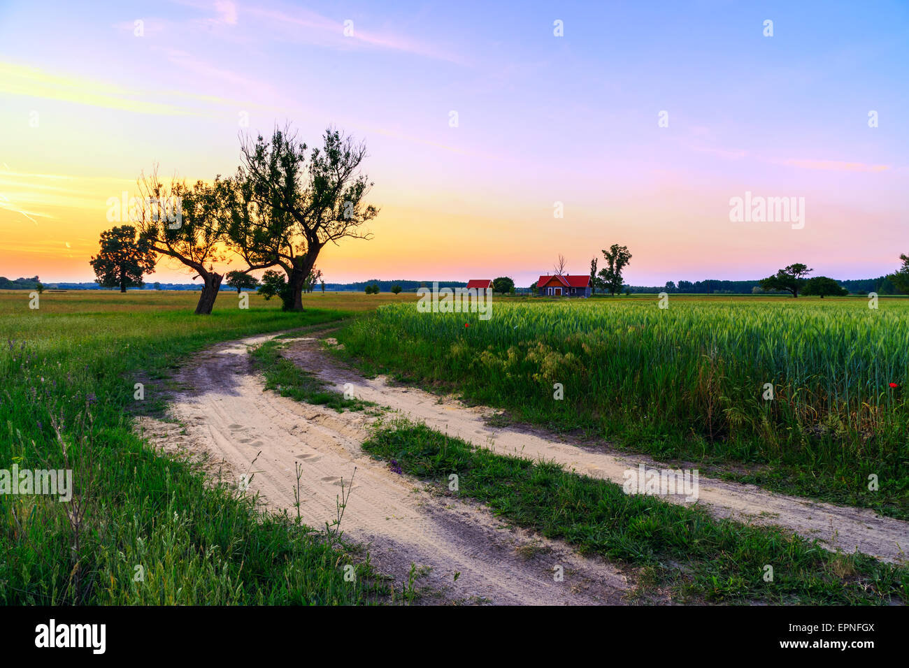 Meadow path in spring hi-res stock photography and images - Alamy