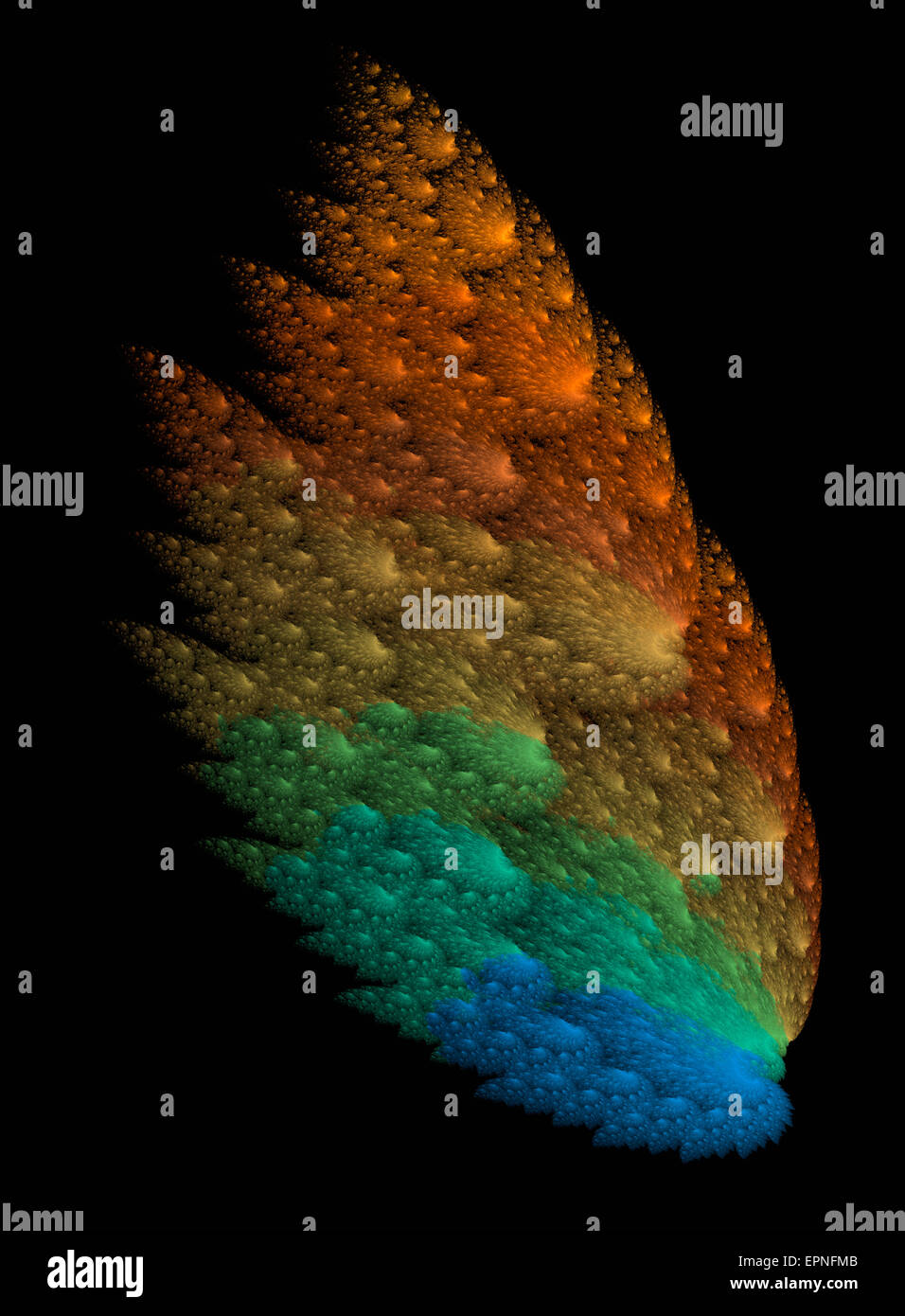 Distinctive wing patterns hi-res stock photography and images - Alamy