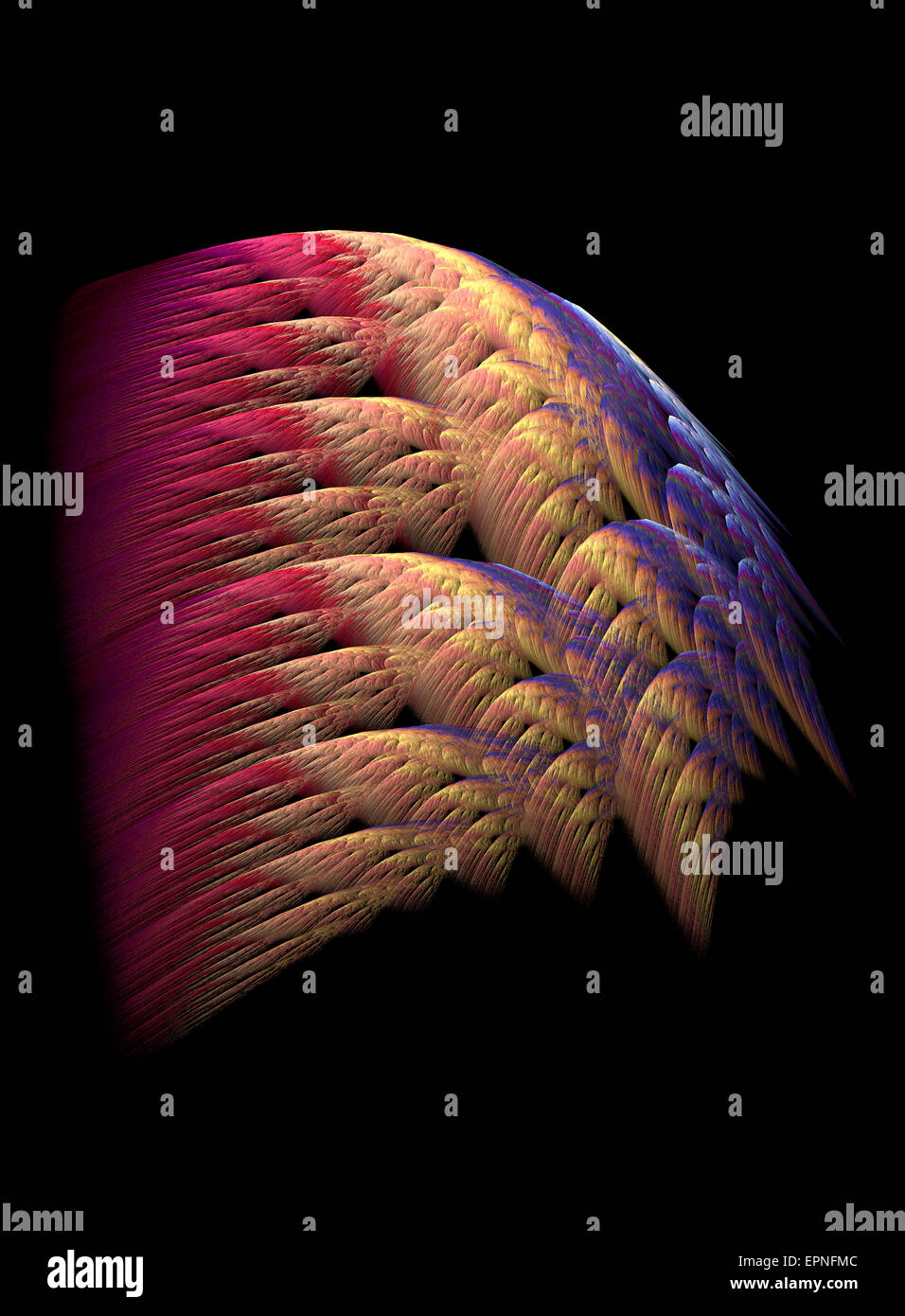 Distinctive wing design hi-res stock photography and images - Alamy