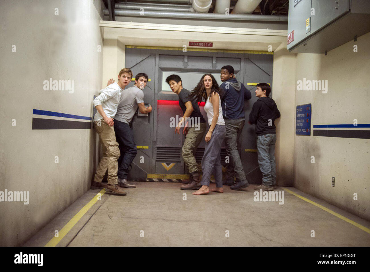 The maze runner hi-res stock photography and images - Alamy