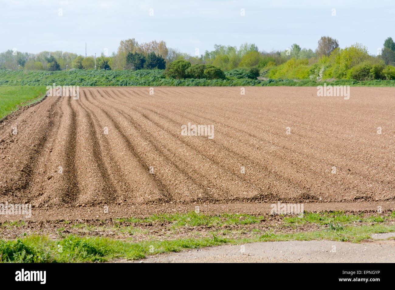 Ploughed field on farm ready for crops to grow Stock Photo - Alamy