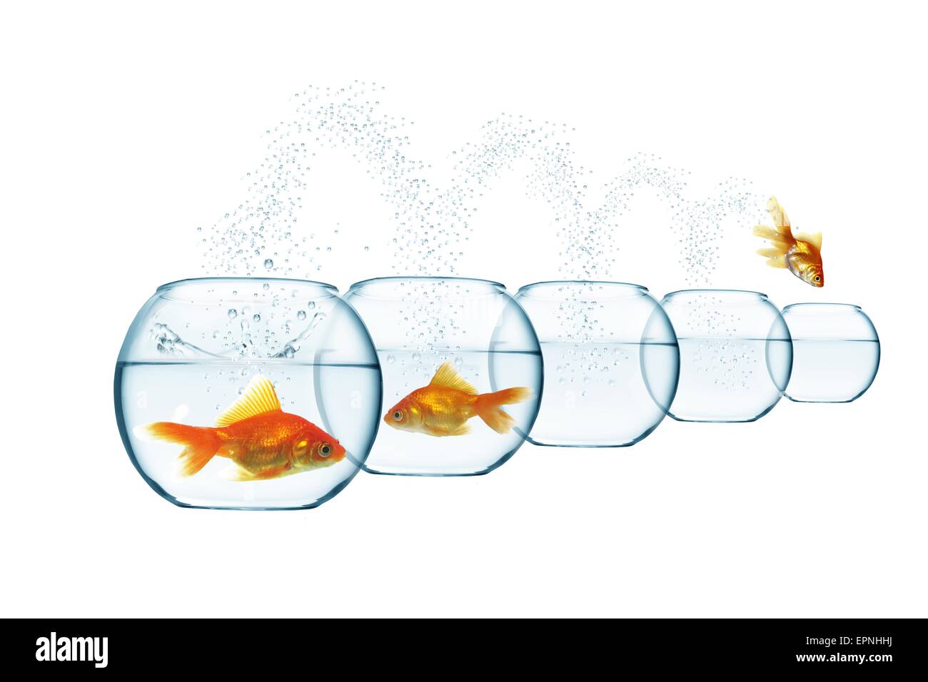 jumping out fish from aquarium on white background Stock Photo - Alamy