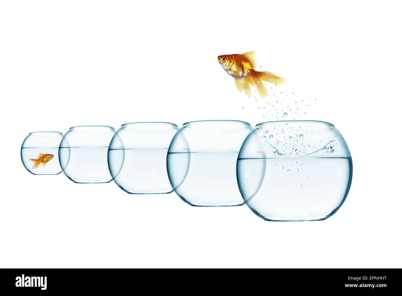Gold Fish Jumping Out Of Fish Bowl Stock Photos & Gold Fish Jumping Out ...
