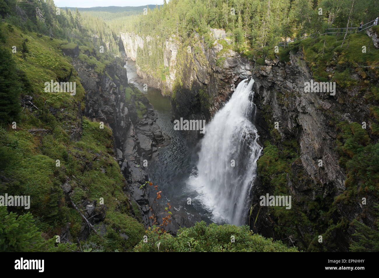 Pine forest waterfall hi-res stock photography and images - Alamy