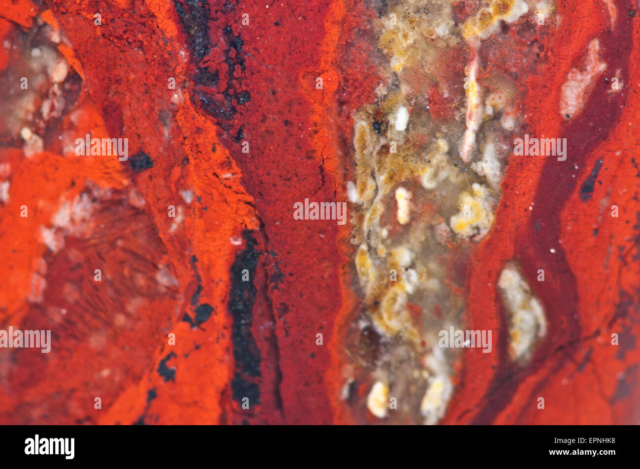 Jewel of jasper hi-res stock photography and images - Alamy