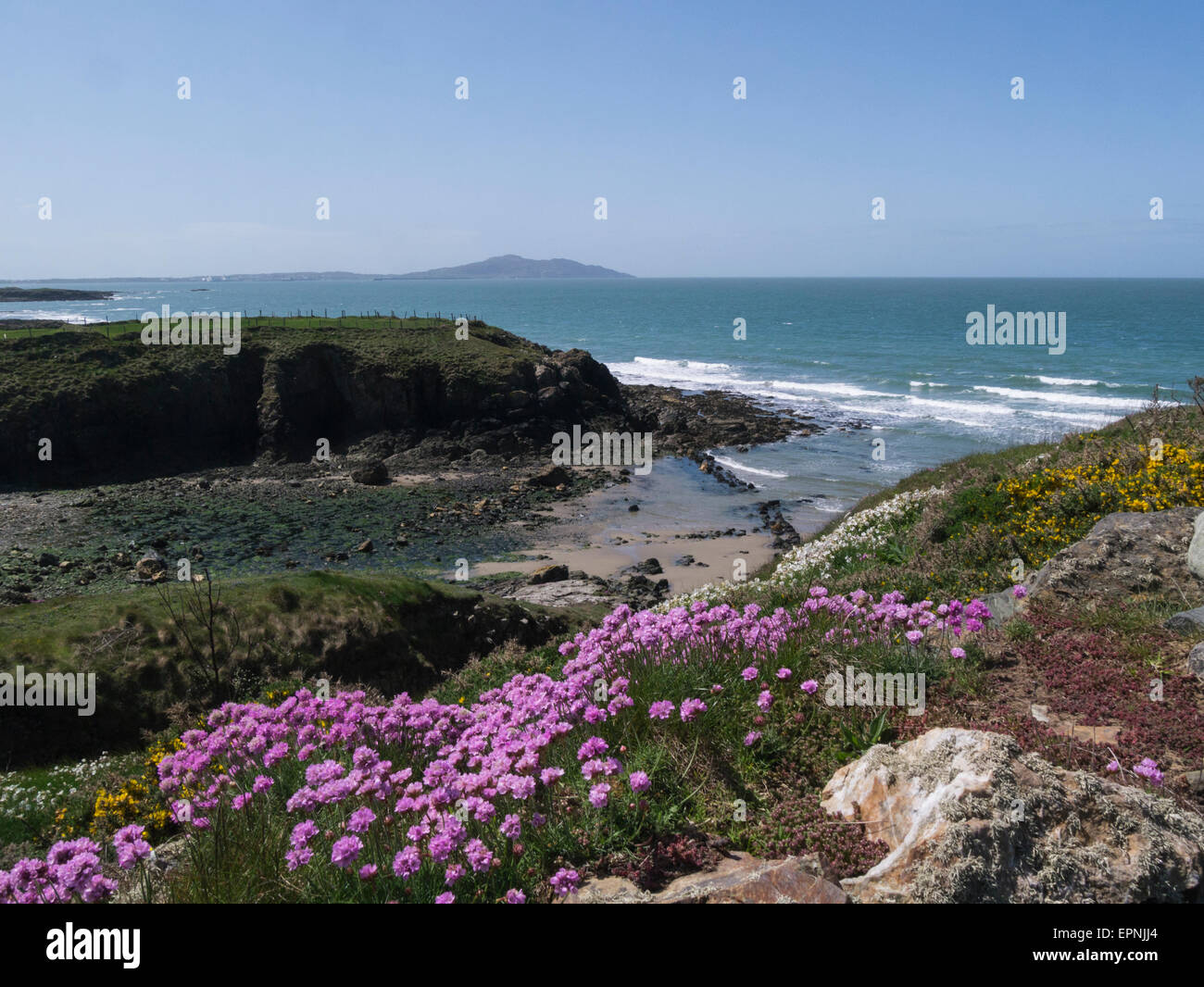View down to Cable Bay from Coastal Path Isle of Anglesey North Wales ...