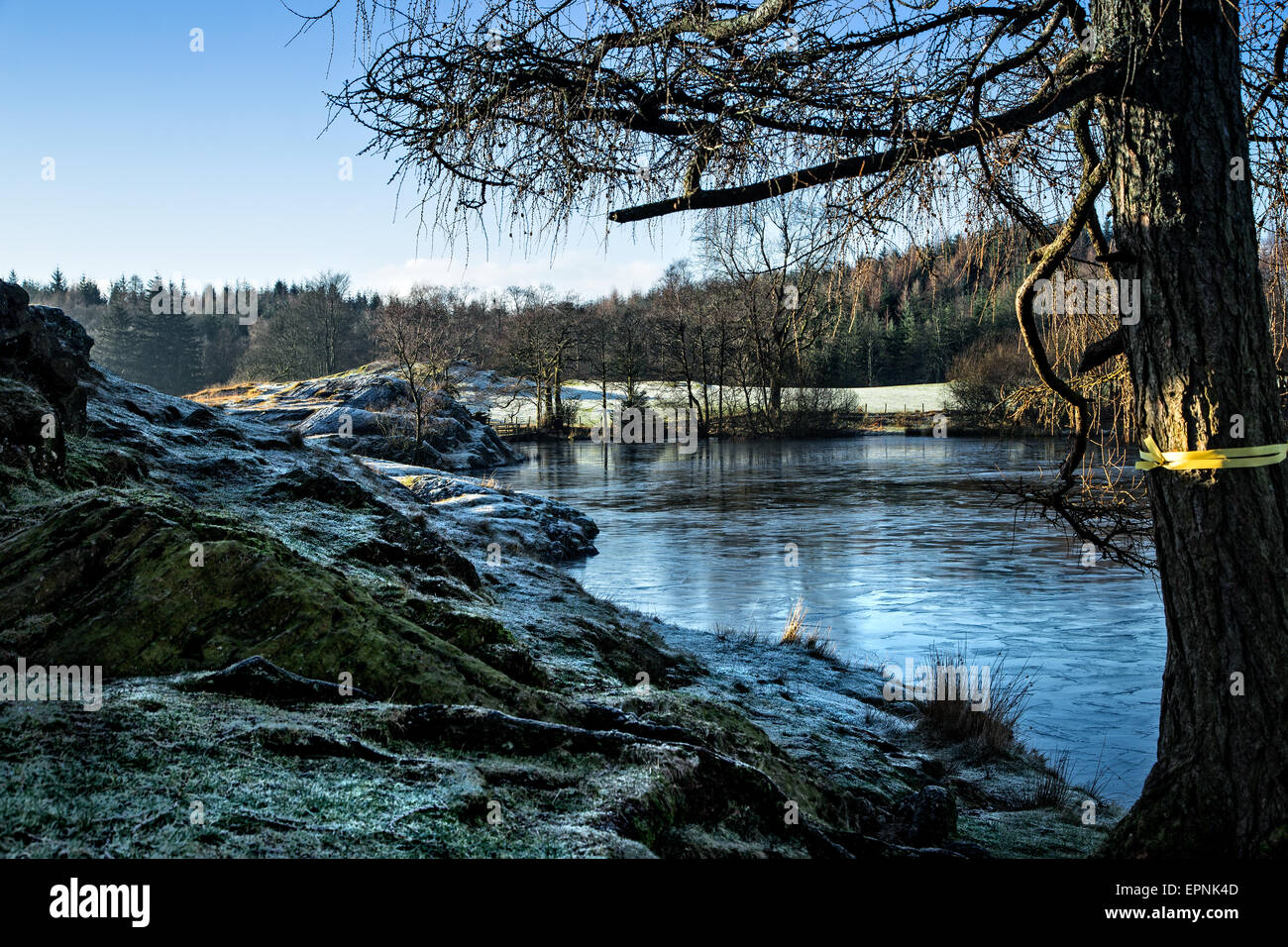 Tarn moss hi-res stock photography and images - Alamy