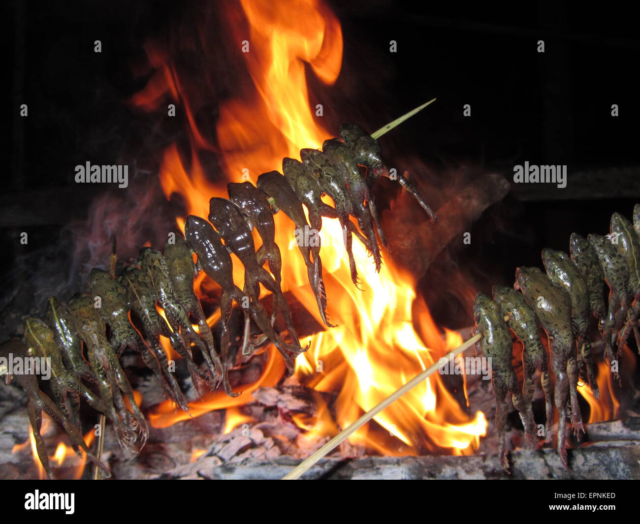 Skewered frogs on a campfire Stock Photo - Alamy