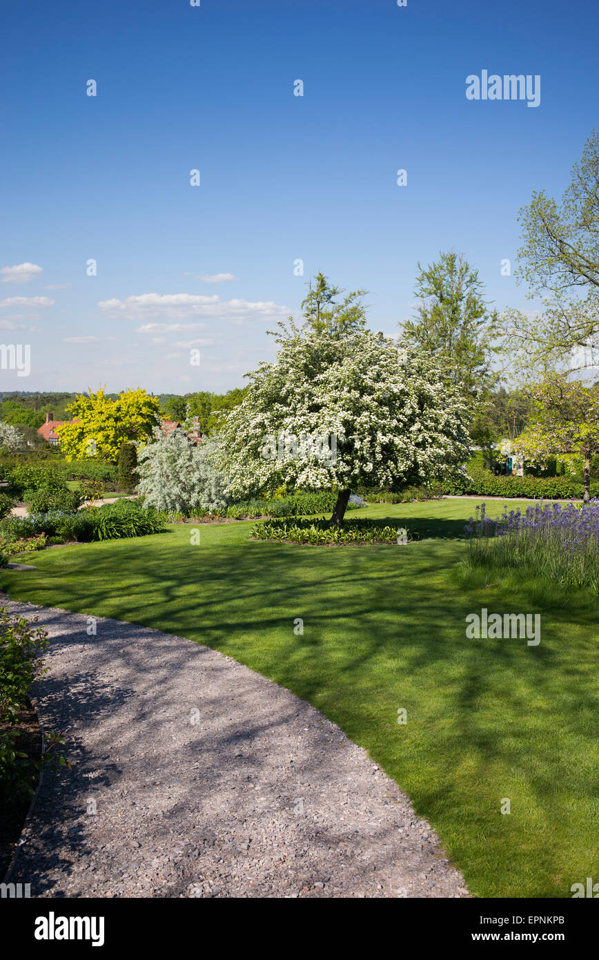 Wisley garden blossom hi-res stock photography and images - Alamy