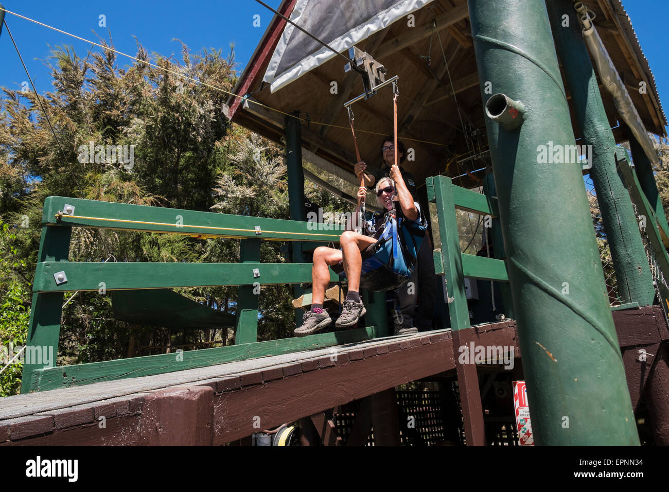 Middle aged woman on the flying fox zipwire over the Buller Gorge, New ...