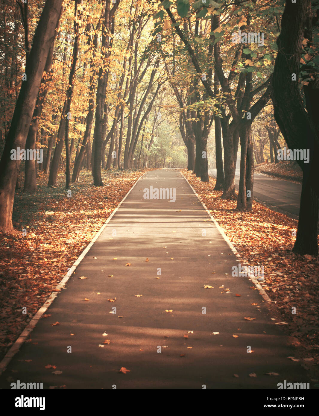 Fall path vignette hi-res stock photography and images - Alamy