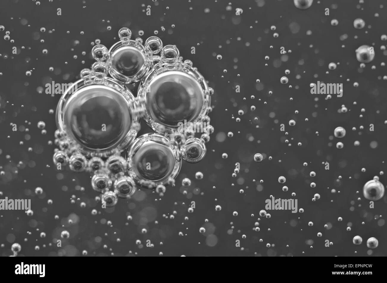 Macro Oxygen bubbles in water on black-and-white background, concept ...
