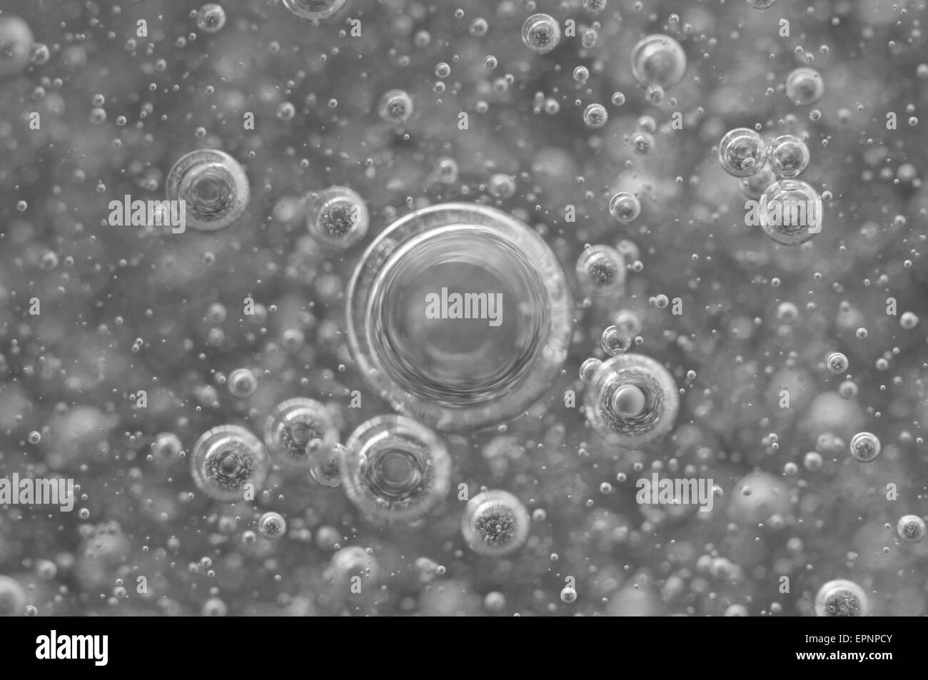 Macro Oxygen bubbles in water on black-and-white background, concept ...