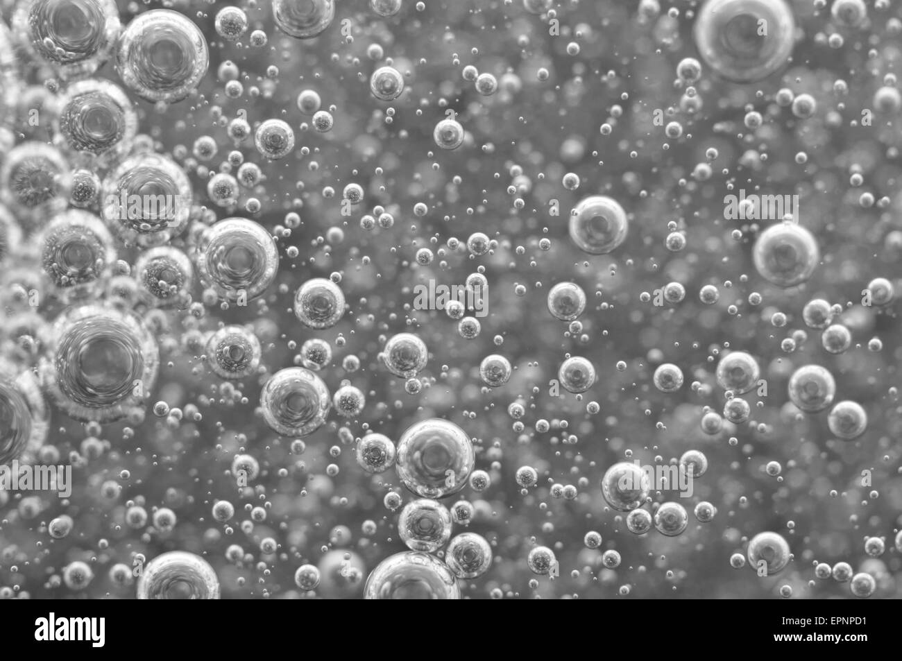 Macro Oxygen bubbles in water on black-and-white background, concept ...