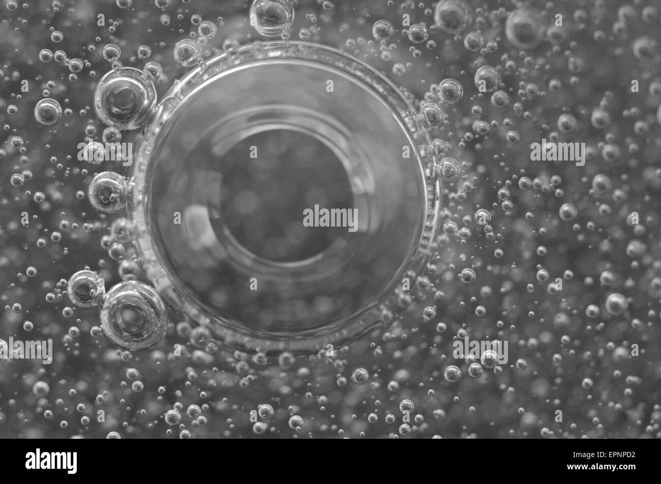Macro Oxygen bubbles in water on black-and-white background, concept ...