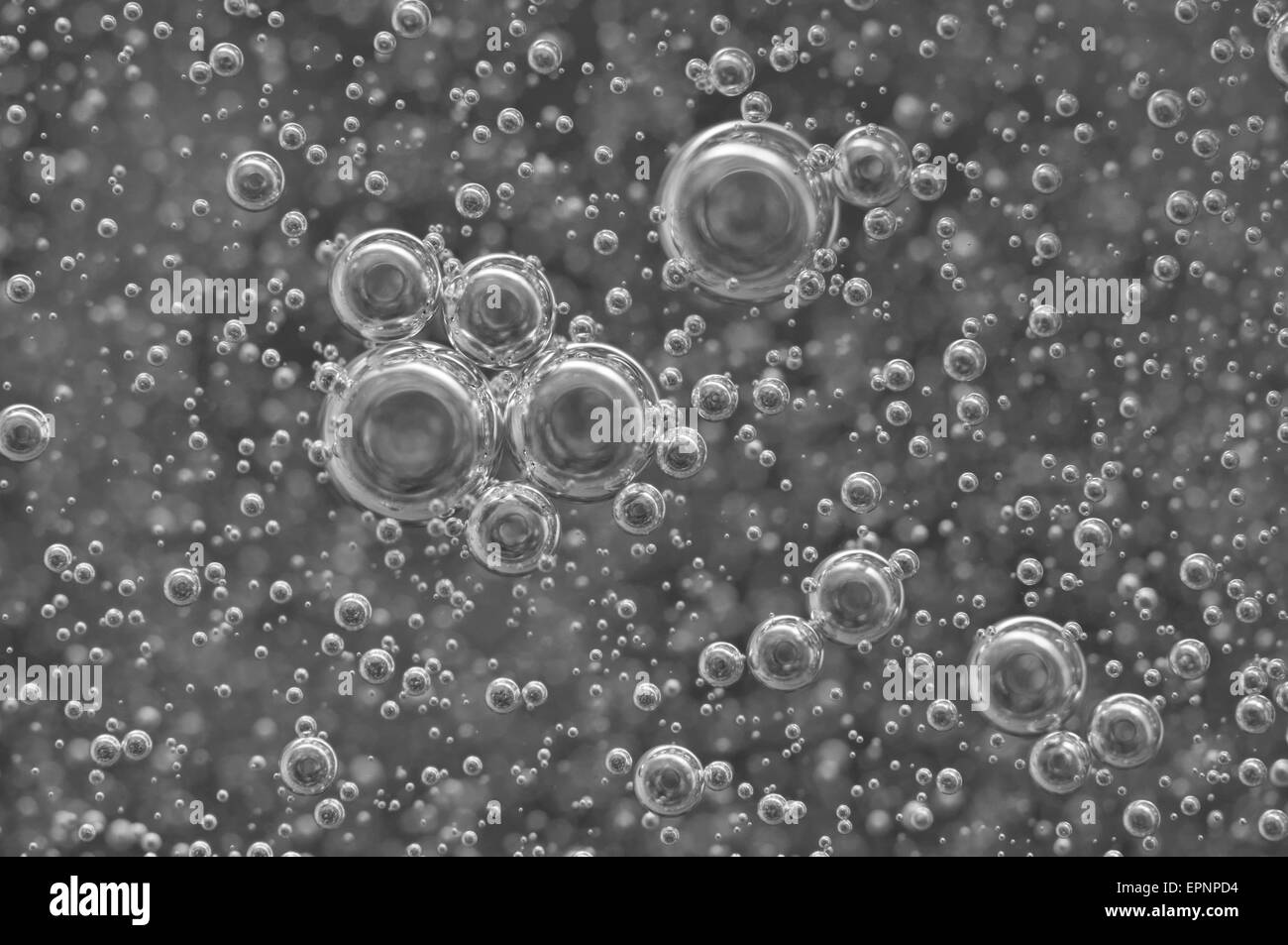 Macro Oxygen bubbles in water on black-and-white background, concept ...