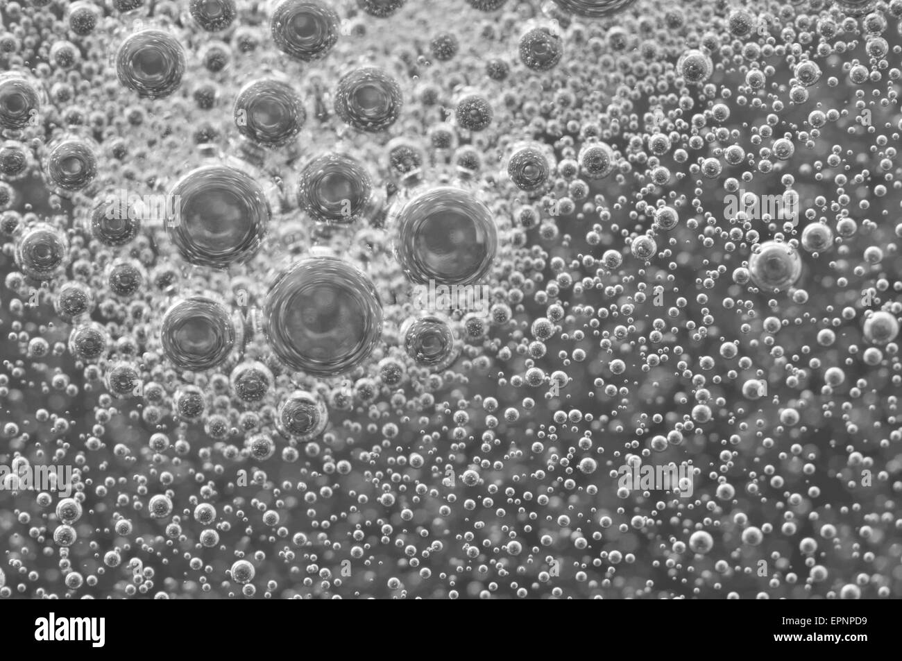 Macro Oxygen bubbles in water on black-and-white background, concept ...