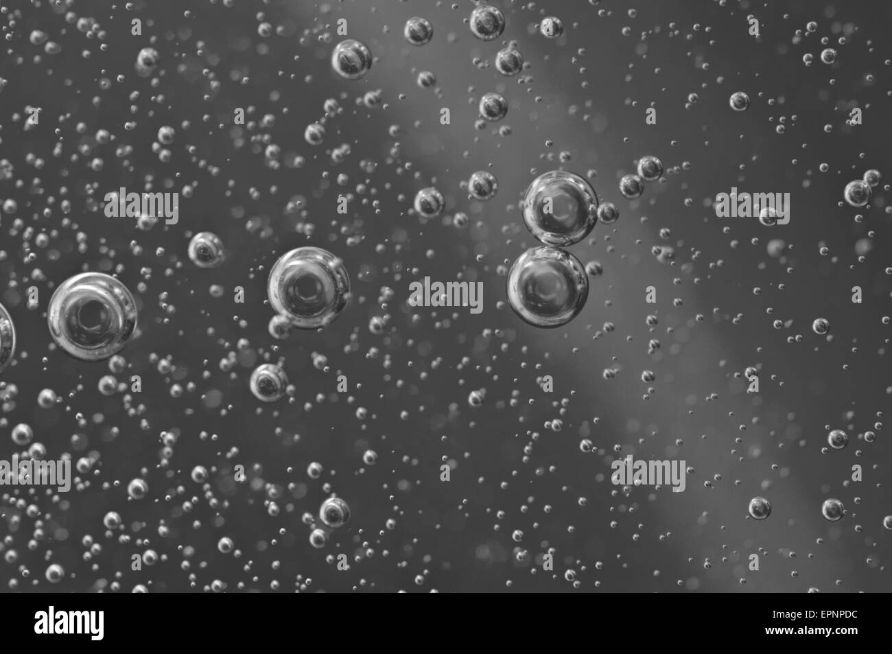 Macro Oxygen bubbles in water on black-and-white background, concept ...
