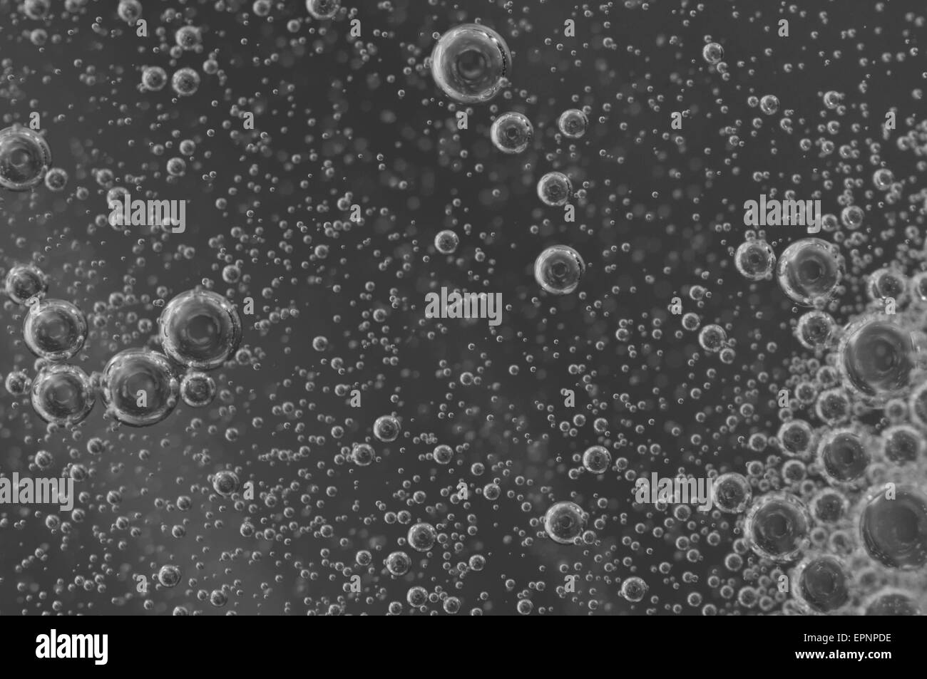 Macro Oxygen bubbles in water on black-and-white background, concept ...