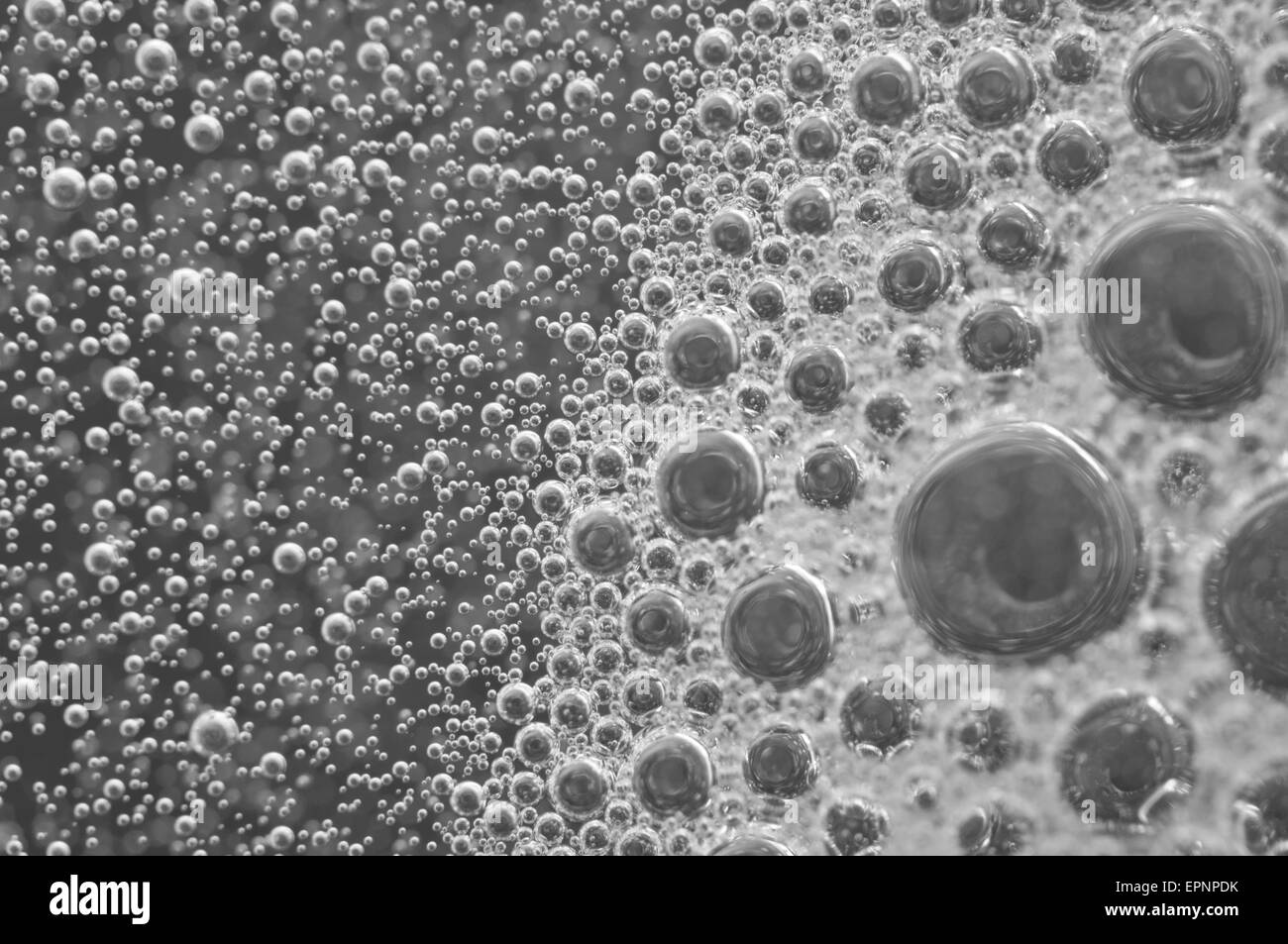 Macro Oxygen bubbles in water on black-and-white background, concept ...