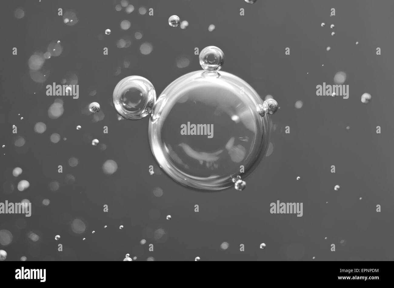 Macro Oxygen bubbles in water on black-and-white background, concept ...