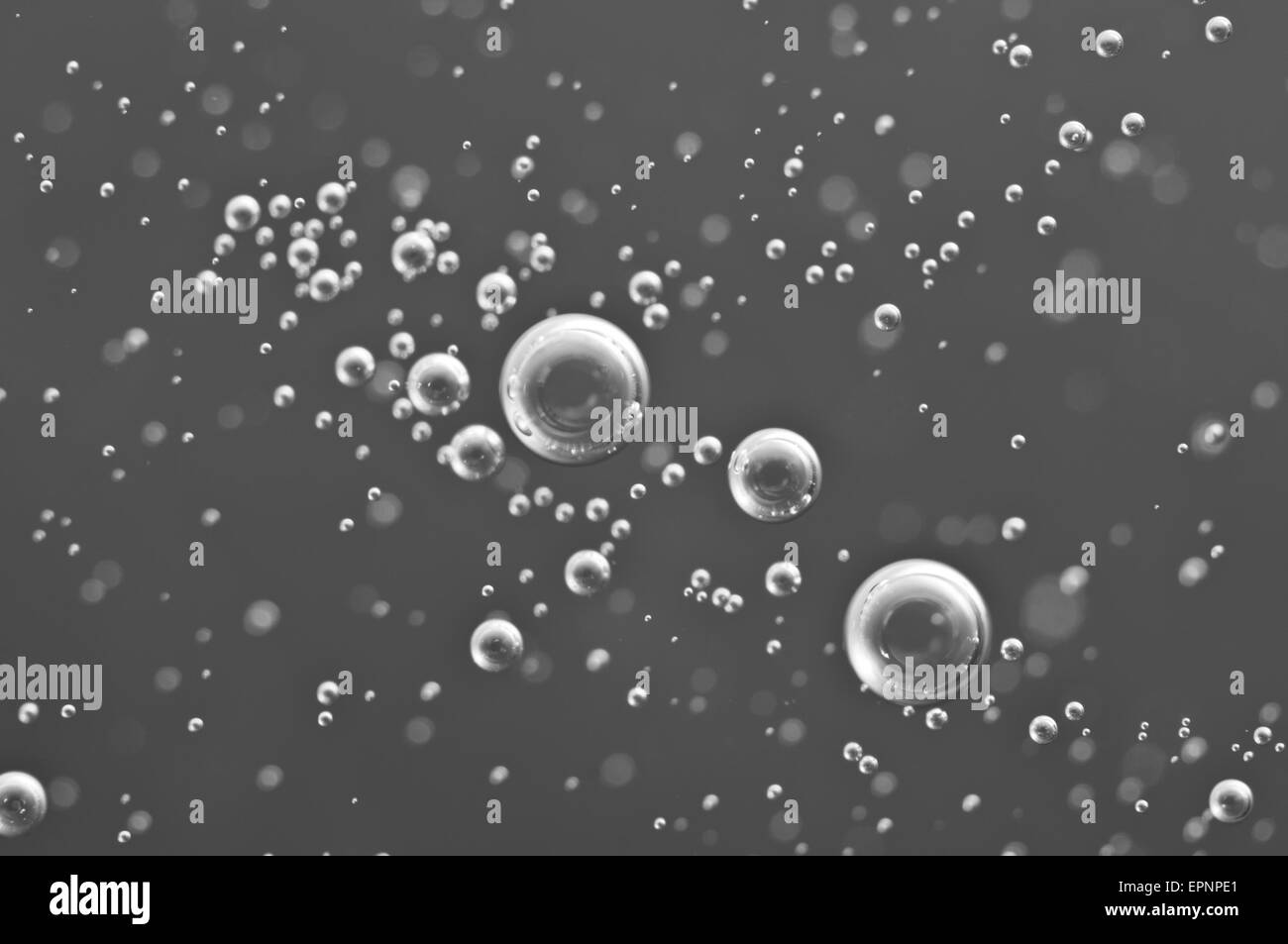 Macro Oxygen bubbles in water on black-and-white background, concept ...