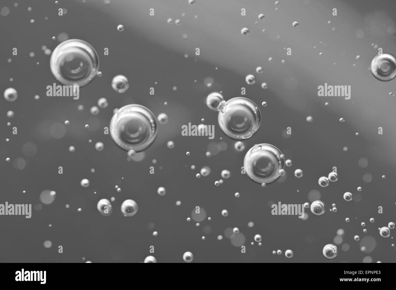 Macro Oxygen bubbles in water on black-and-white background, concept ...