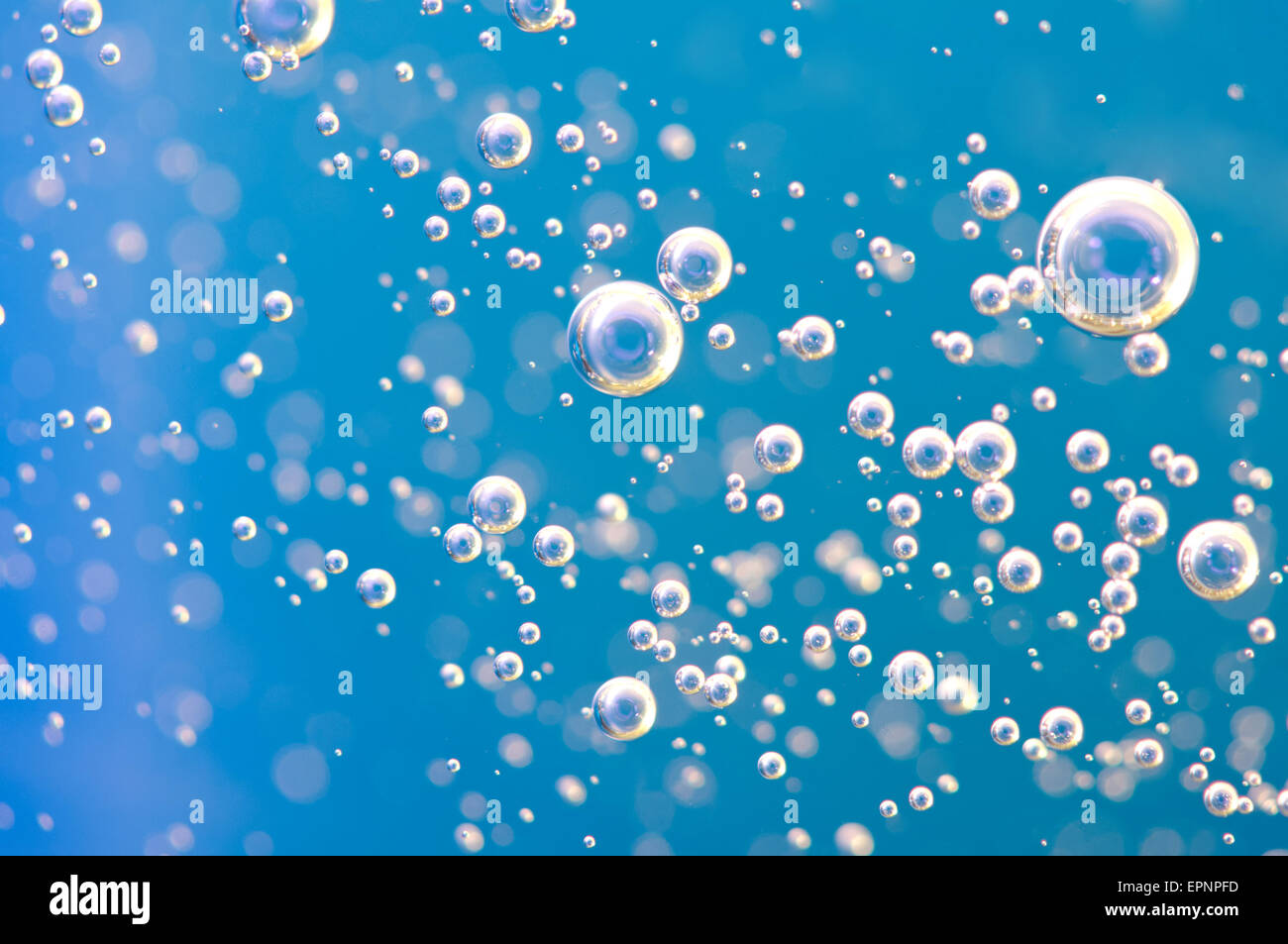 Macro Oxygen bubbles in water on a blue background, concept such as ...