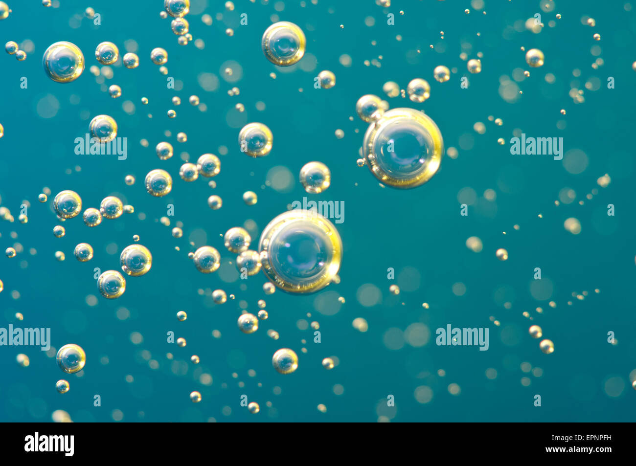 Macro Oxygen bubbles in water on a blue background, concept such as ...