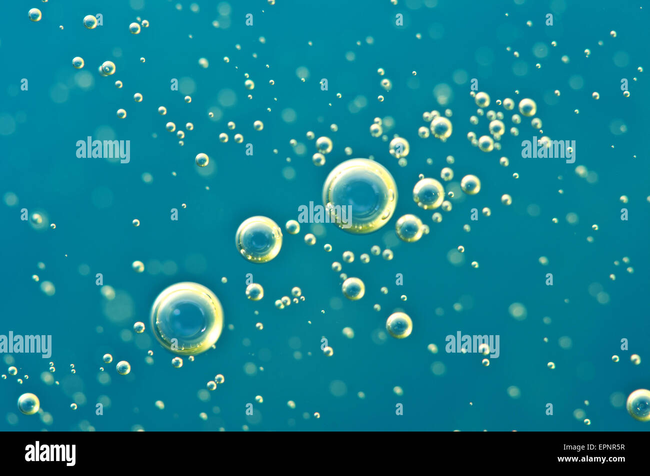 Macro Oxygen bubbles in water on a blue background, concept such as ...