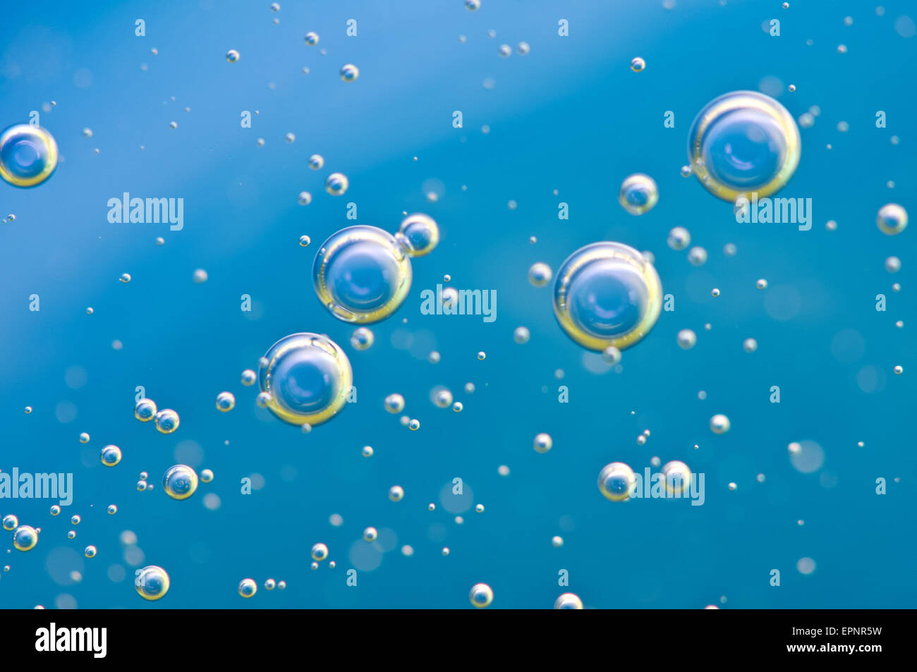 Macro Oxygen bubbles in water on a blue background, concept such as ...