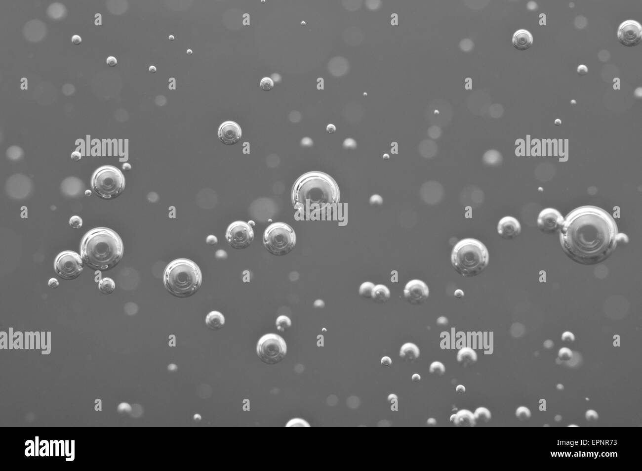 Macro Oxygen bubbles in water on black white background, concept such ...