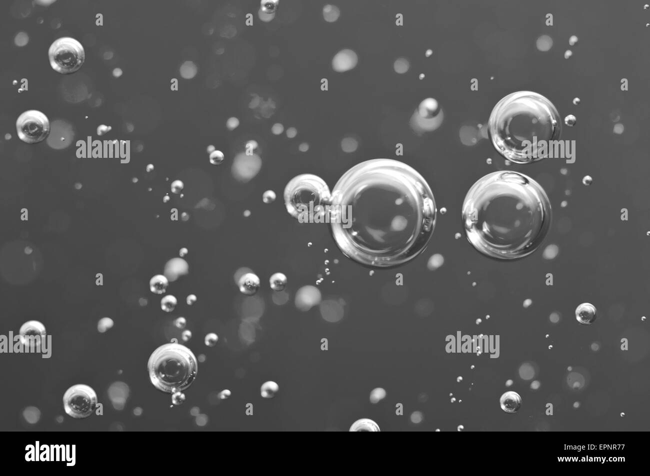 Macro Oxygen bubbles in water on black white background, concept such ...