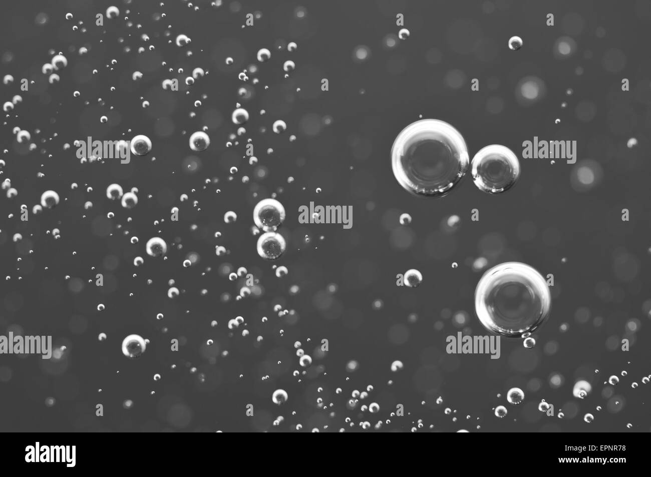 Macro Oxygen bubbles in water on black white background, concept such ...