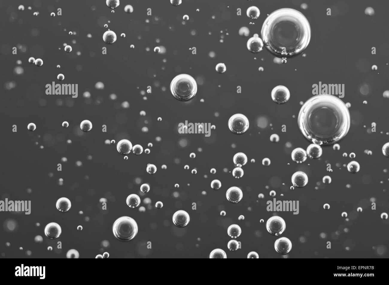 Macro Oxygen bubbles in water on black white background, concept such ...